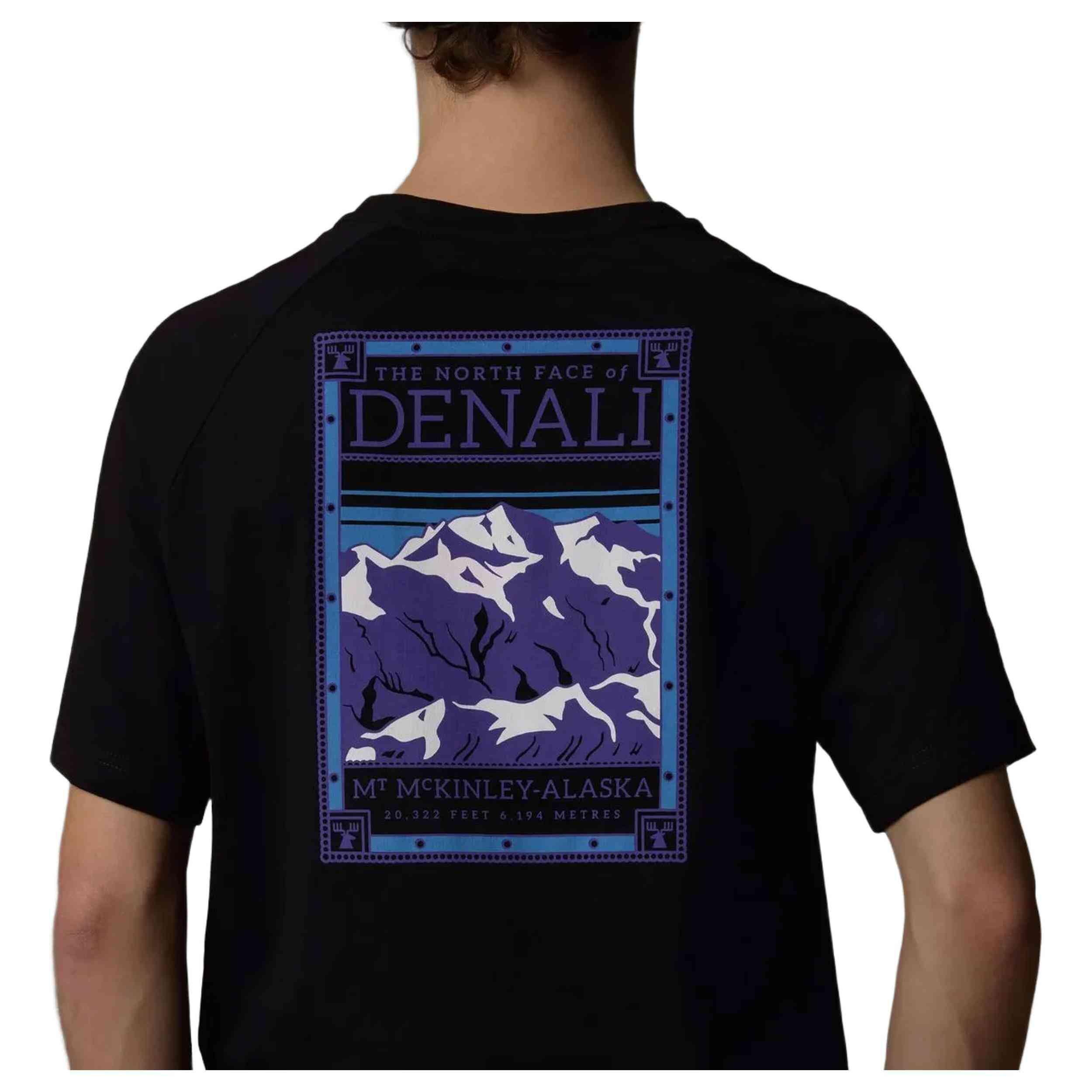 T-shirt met korte mouwen The north face Redbox Celebration voor mannen ...