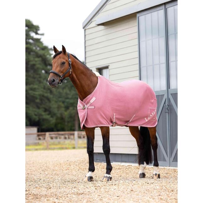 LEMIEUX Lemieux Kudos Bamboo Cooler Deken Roze - | Decathlon