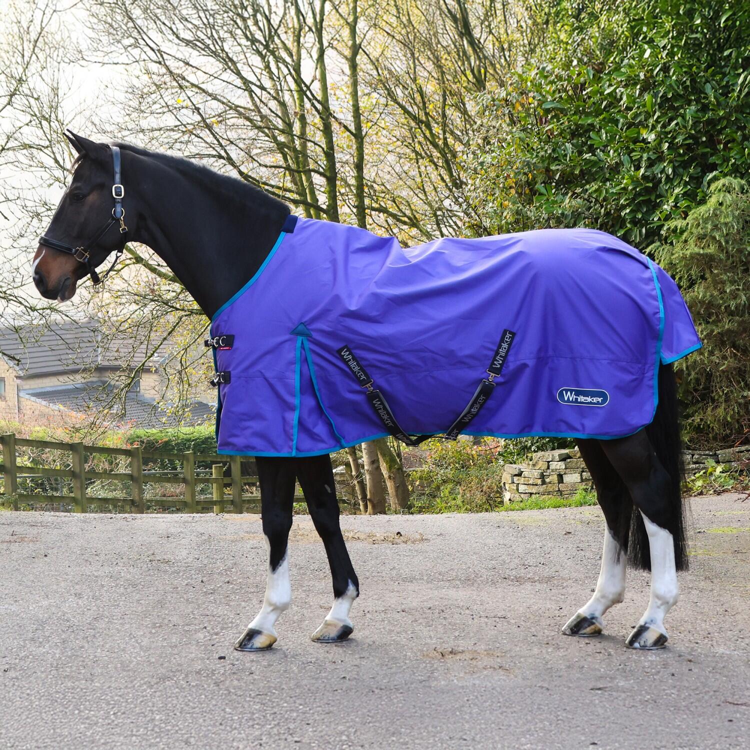 Whitaker 0g Lightweight Turnout Horse Rug JOHN WHITAKER | Decathlon
