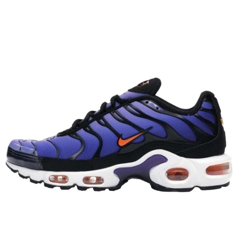 Chaussures Air Max TN Plus OG Voltage Purple NIKE | Decathlon