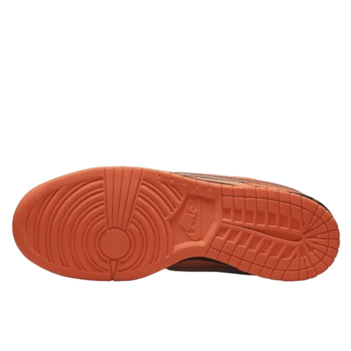 Shoes SB Dunk Low Concepts Orange Lobster - Decathlon