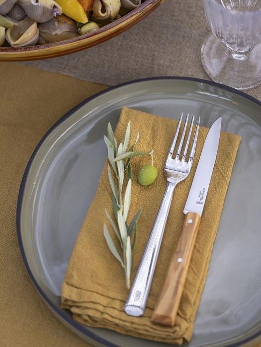 Coffret de 4 couteaux de table N°125 Opinel Bon Appêtit Sud | Decathlon