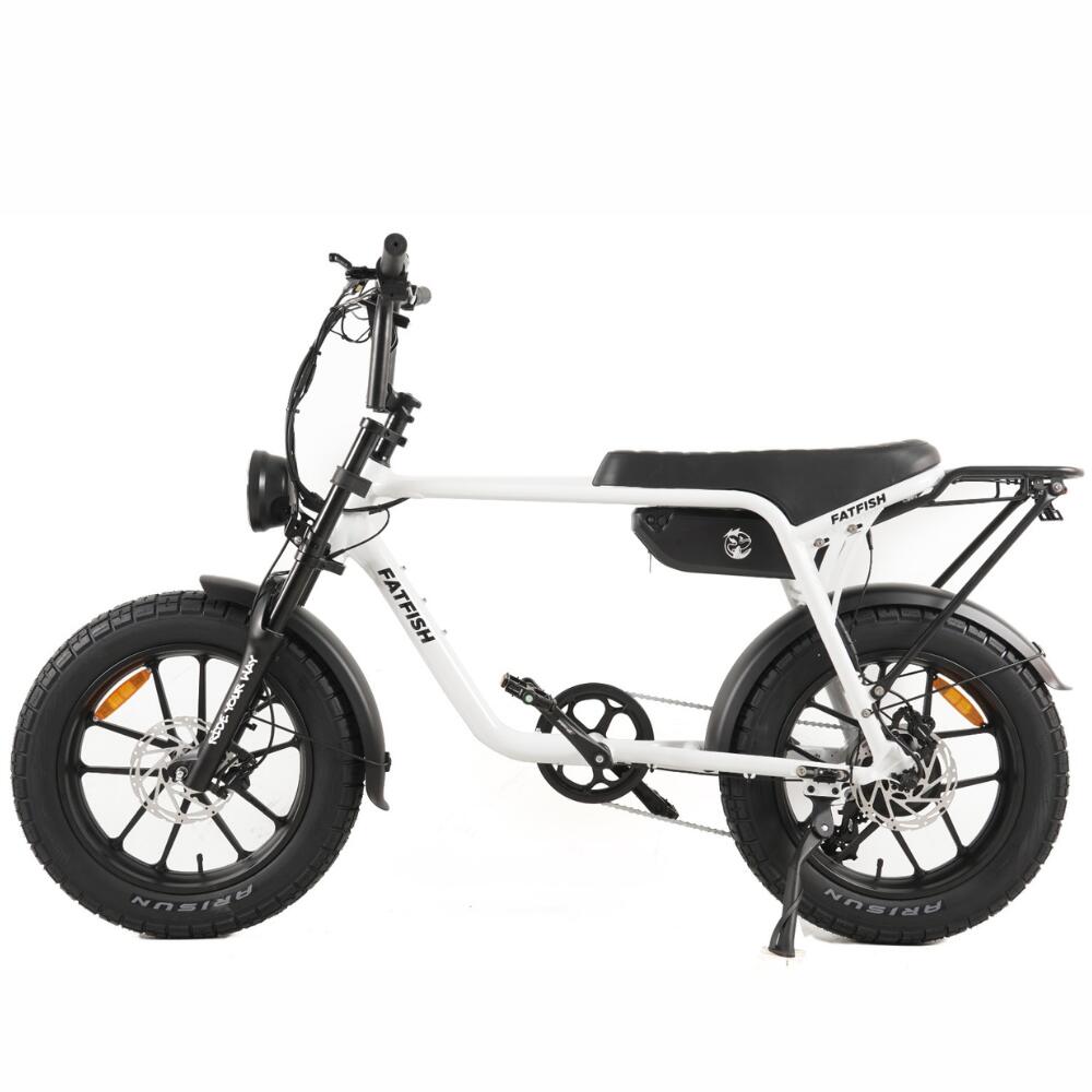 Home All Sports Cycling Bikes Electric Bikes