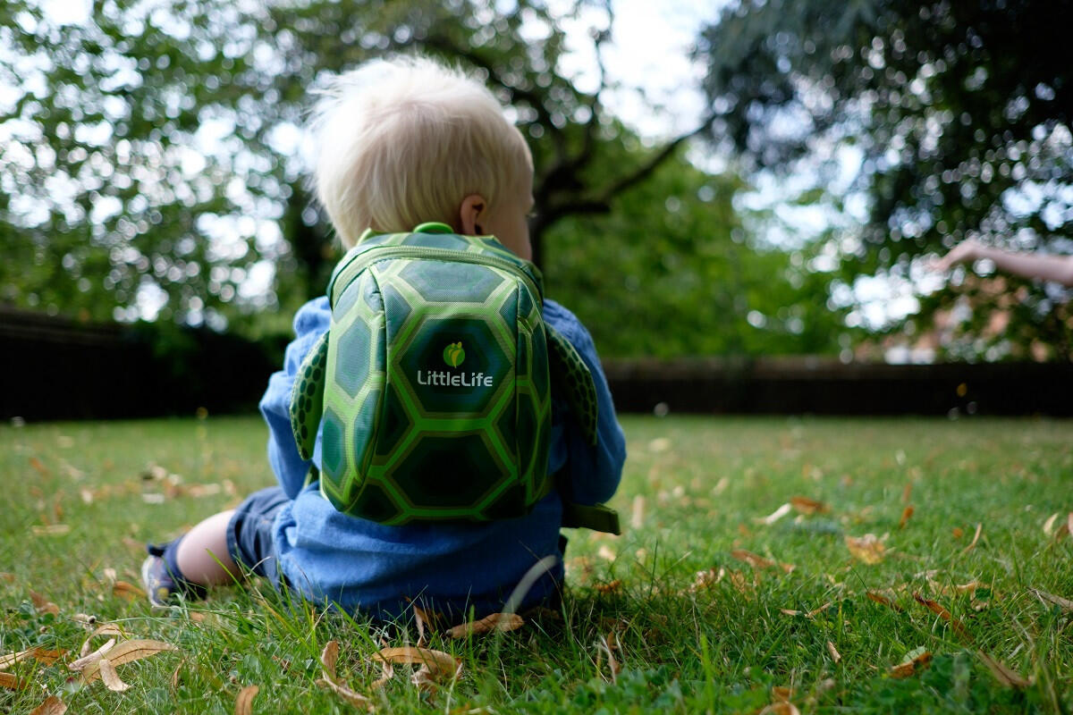 Toddler Backpack With Rein - Turtle LITTLELIFE | Decathlon