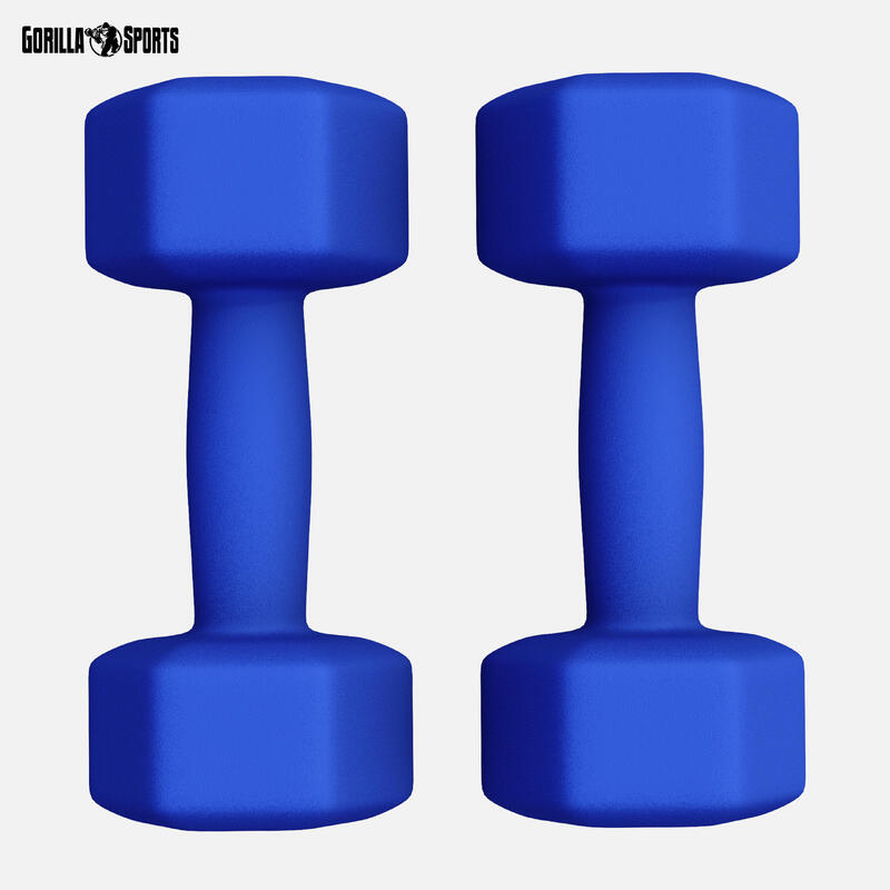 Kit Haltères en Néoprène - Hexagonal Poids Fitness, Dumbbell Set ...