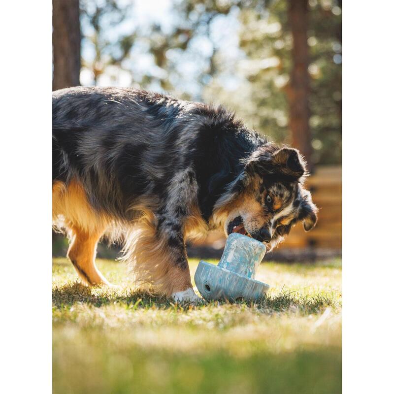 Zabawka dla psa Ruffwear Porcini Dog Toy - blue prism RUFFWEAR | Decathlon