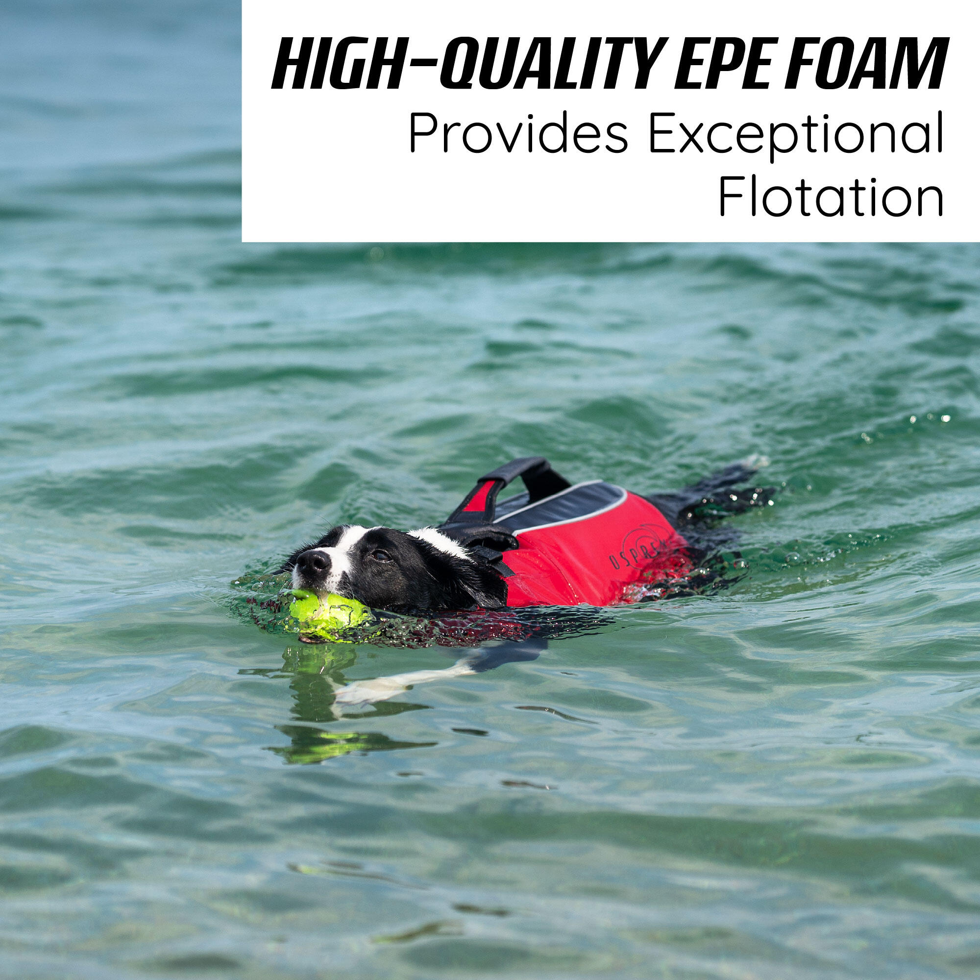 Osprey Dog Life Jacket, Adjustable Buoyancy Aid with Handle, Reflective ...