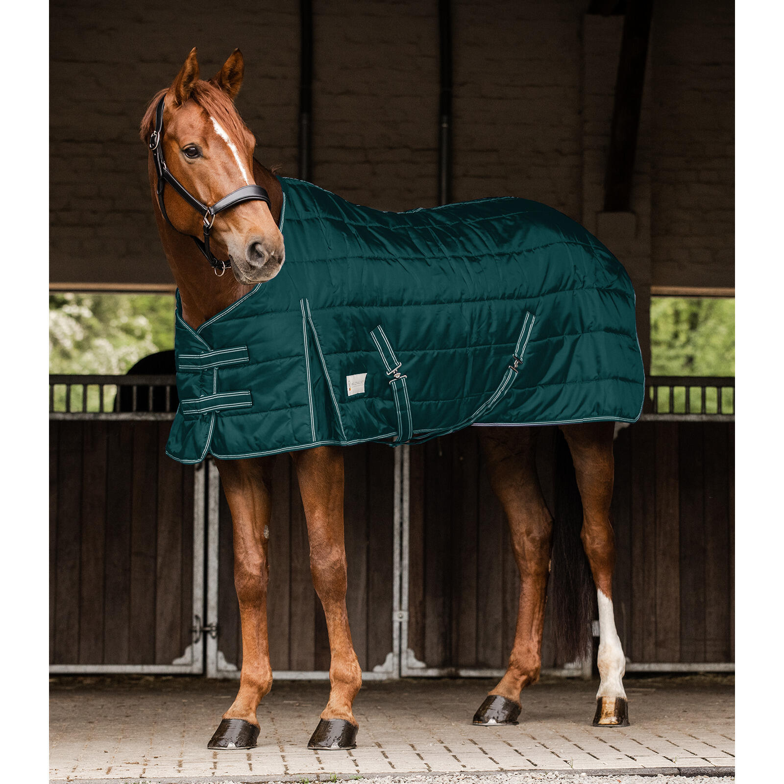 Coperta da box per cavalli Waldhausen Economic 100g WALDHAUSEN | Decathlon