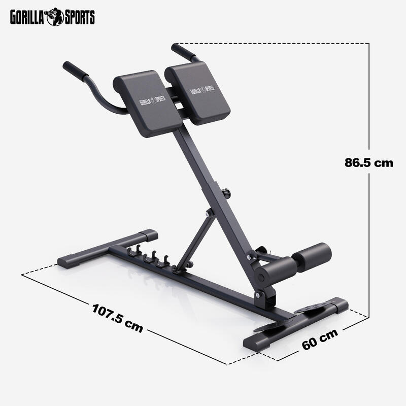 Banc Lombaire - Banc Musculation, Chaise Romaine Pliable, Chaise ...