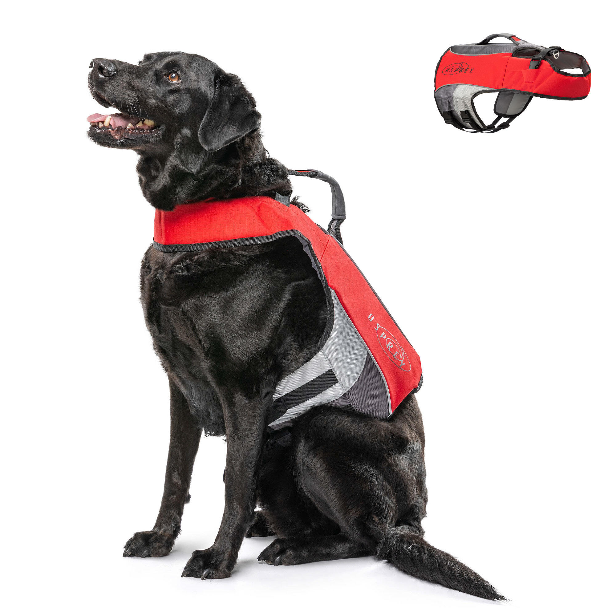Osprey Dog Life Jacket, Adjustable Buoyancy Aid with Handle, Reflective ...