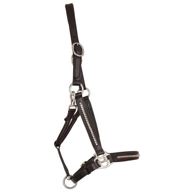 Licol pour cheval en cuir T de T Clincher T DE T | Decathlon