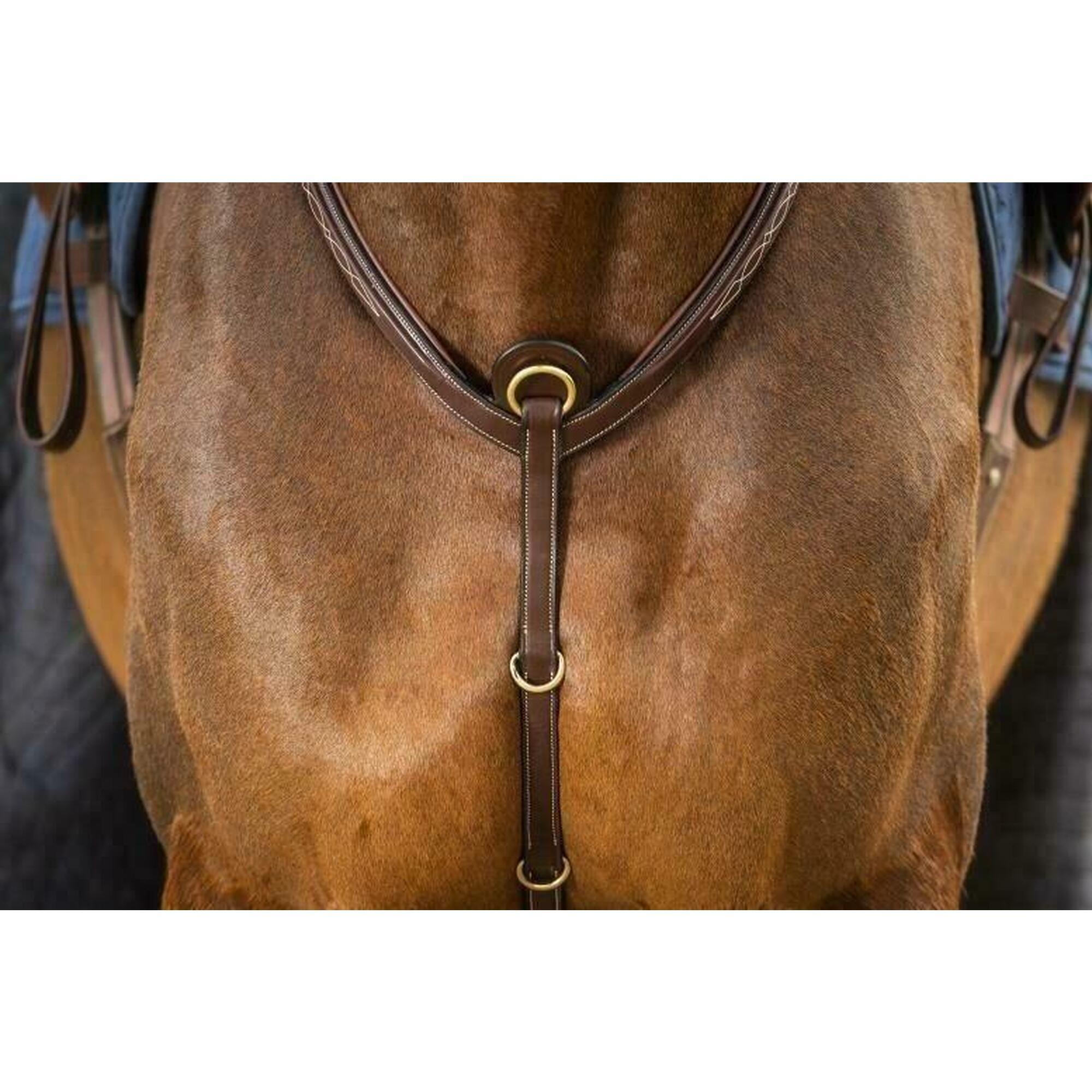 Dy'on Bridge Breastplate D Collection Zwart - DY'ON | Decathlon