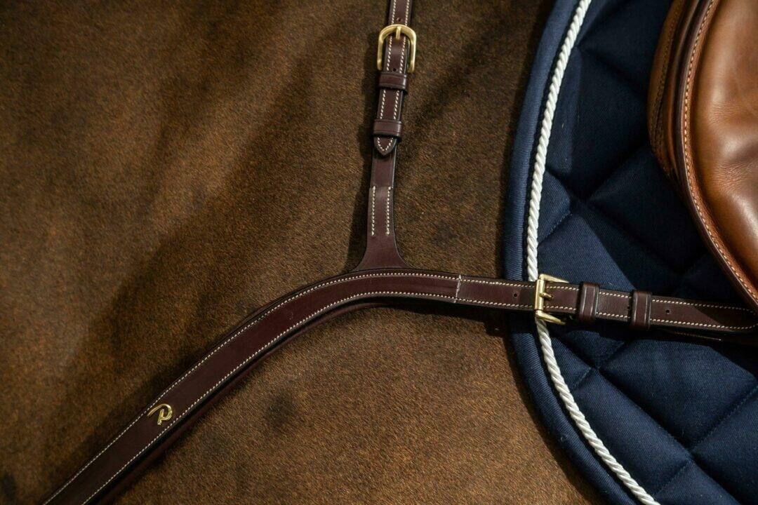 Dy'on Long Bridge Breastplate - D Collection Bruin - | Decathlon