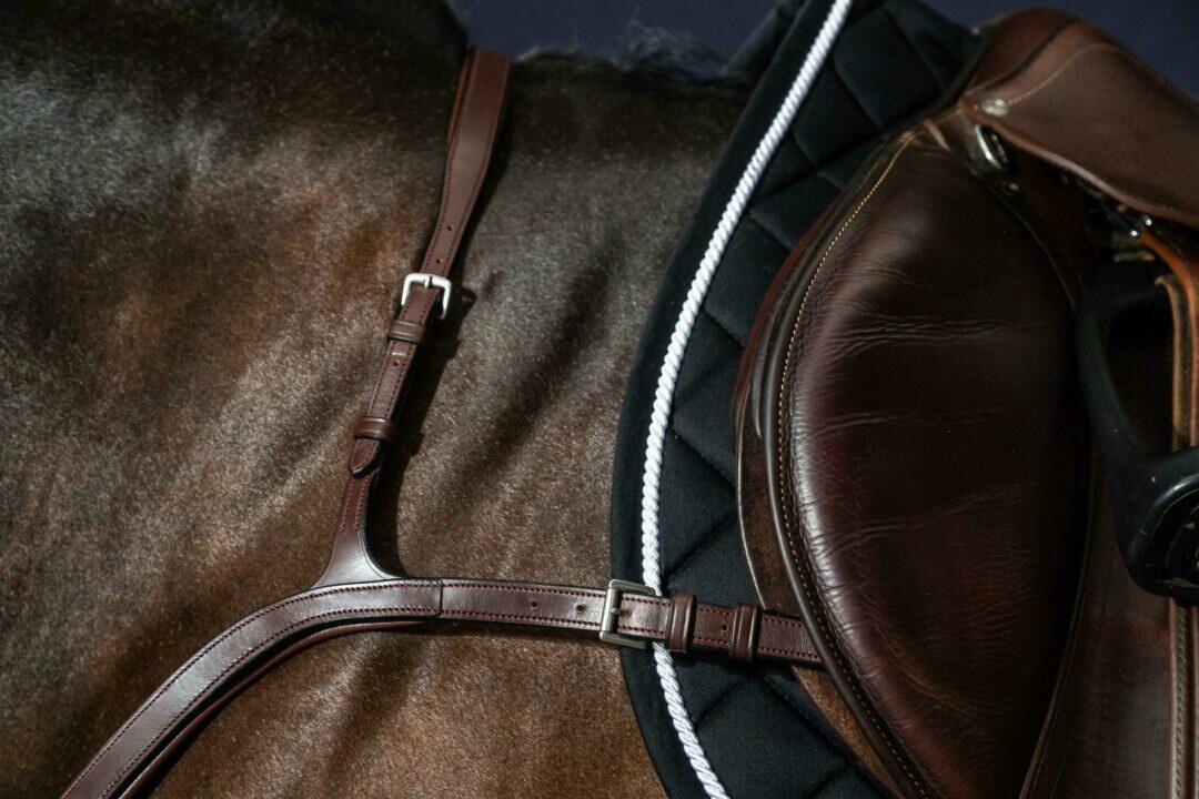 Dy'on Long Bridge Breastplate Bruin - | Decathlon