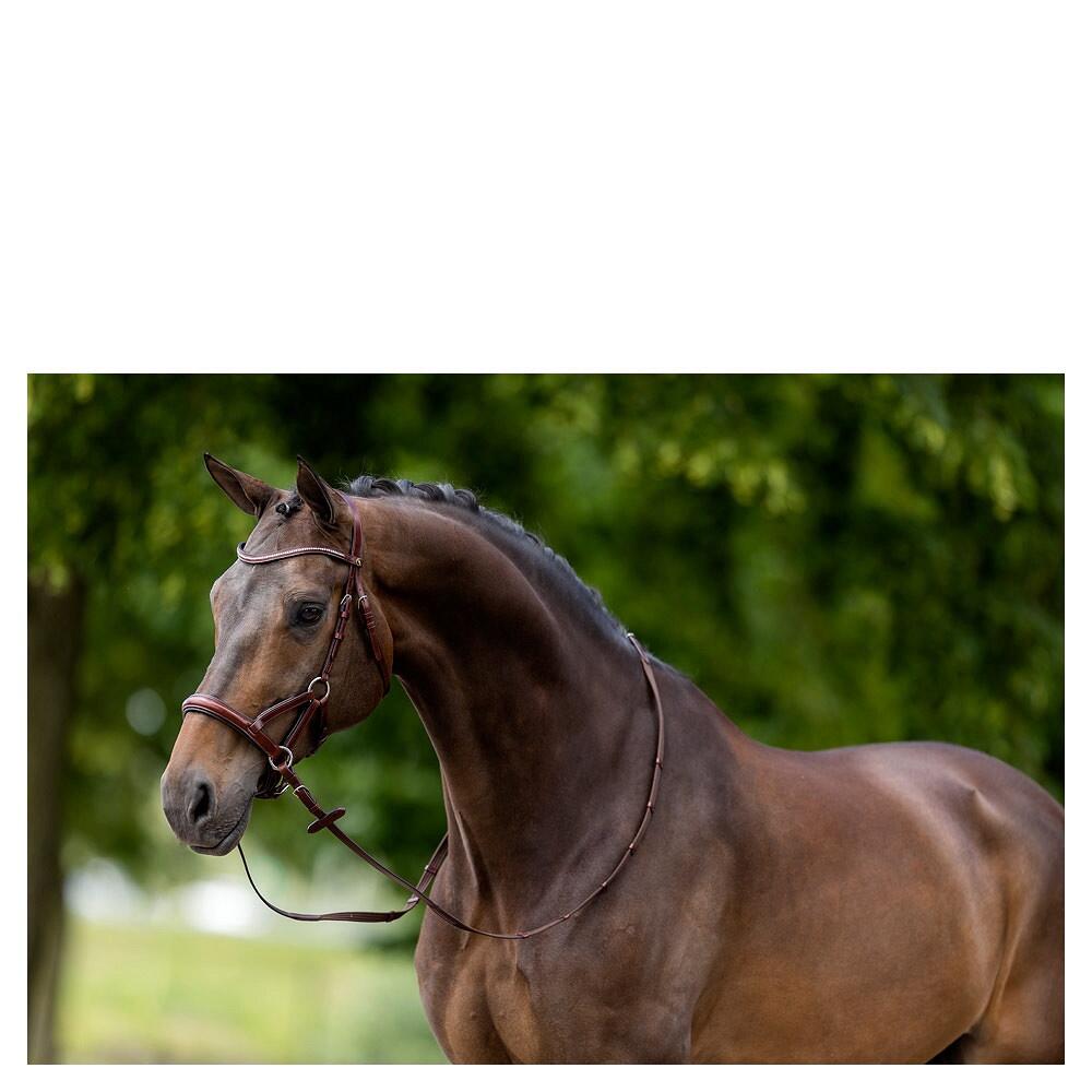 Br Bitloos Hoofdstel Lewes Side & Pull Grijs - BR | Decathlon