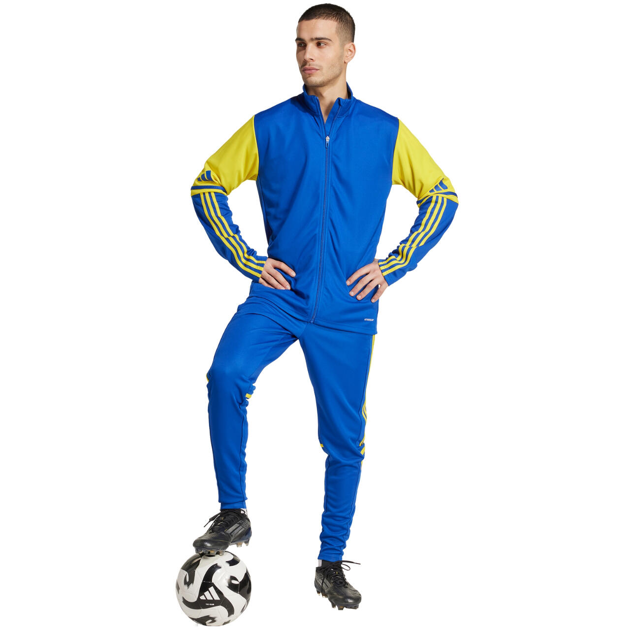 adidas Squadra 25 Training Jacket Blue ADIDAS | Decathlon