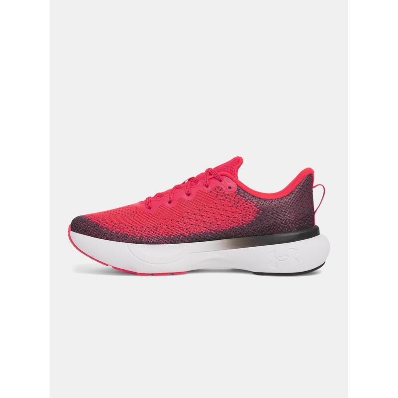 Chaussures de course pour hommes Under Armour Infinite Racer UNDER ...