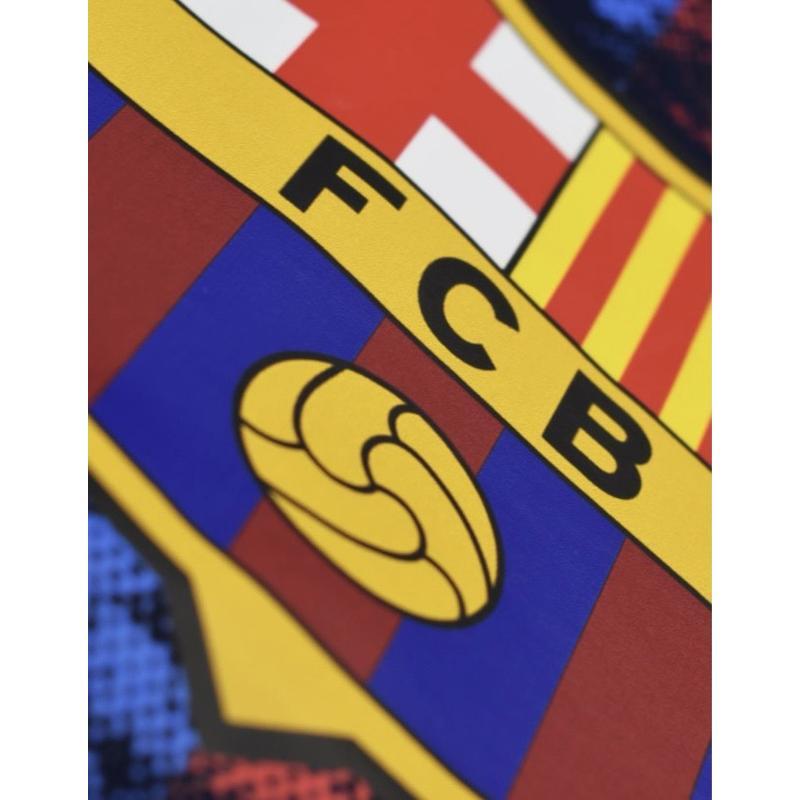 FC BARCELONA - Tricou Barça 2024-25 albastru pentru copii - 10 ani ...