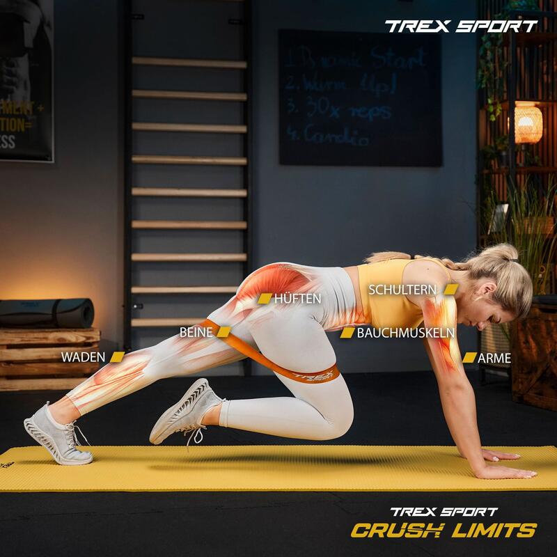 Bandes de résistance 5 pcs Trex Sport Miniband Neon 1-18 kg avec sac ...