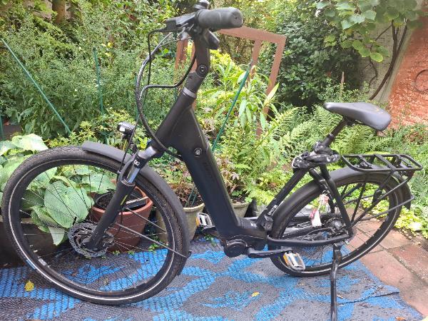 Giant Elektrische Fiets