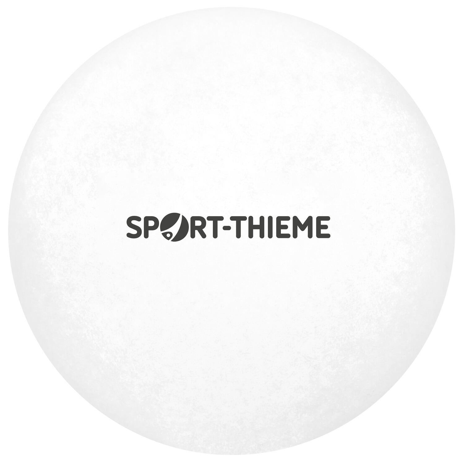 Pallina da ping pong 1-Star 40+ Bianco Tischtennis Unisex SPORT THIEME ...