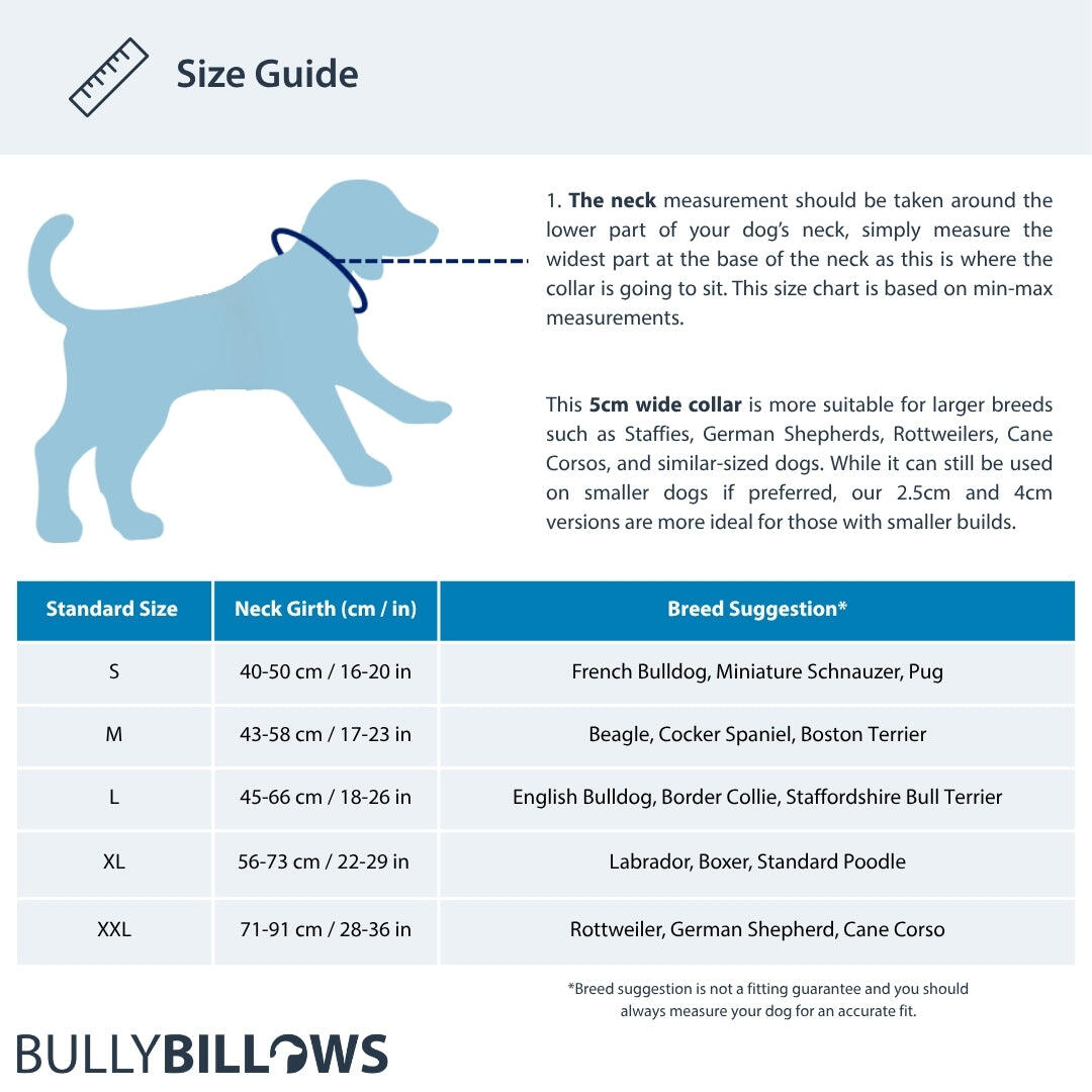 5cm Combat® Dog Collar | NO Handle & Secure Clip - Turquoise ...