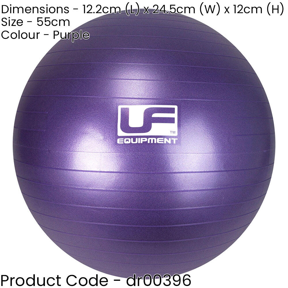 55cm Swiss Gym Ball & Pump - 500KG Burst Resistance - Exercise Workout ...