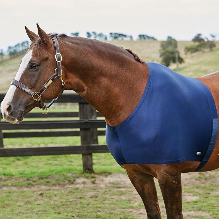 Protège-épaule extensible pour cheval Weatherbeeta WEATHERBEETA | Decathlon
