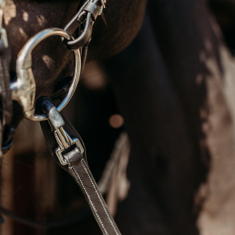 Rênes pour cheval avec clip et stops de Presteq FaySport PRESTEQ ...