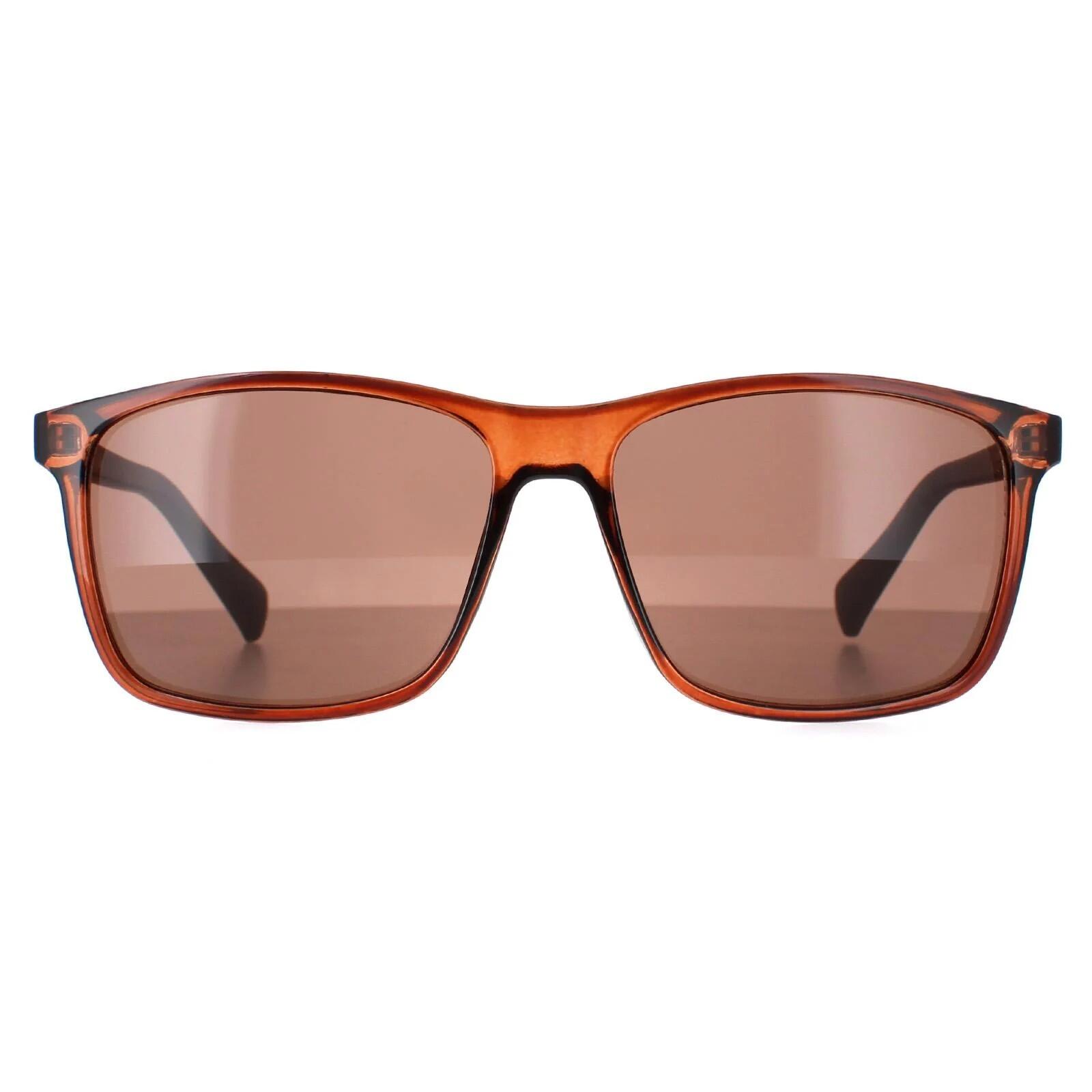 Ck19568S 001 Sunglasses (Brown) | Decathlon