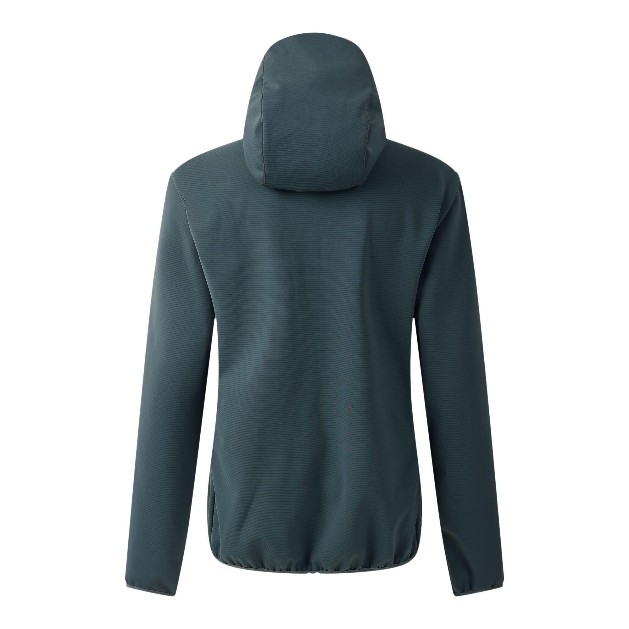 Softshell Jassen Dames - DARE 2B Iced Softshell W - Element Grey ...