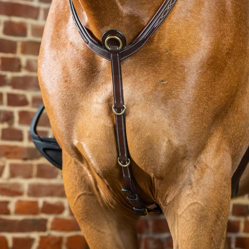 Dy'on Bridge Breastplate D Collection Zwart - DY'ON | Decathlon