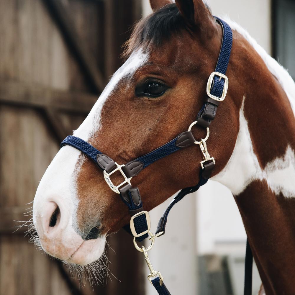 Plaited Nylon halter navy Cob KENTUCKY HORSEWEAR | Decathlon