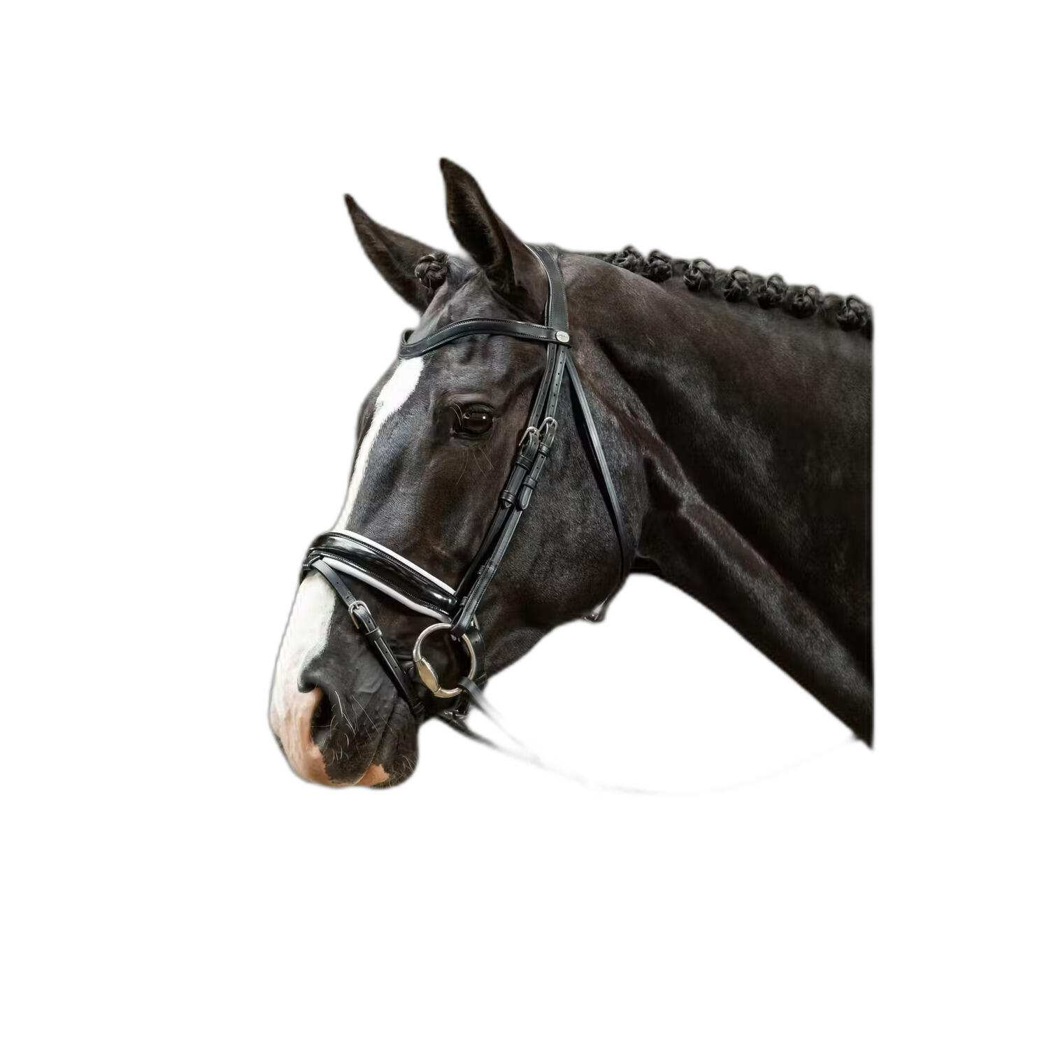 Wide glossy combined noseband bridle with white lining Dy'on DY ON ...