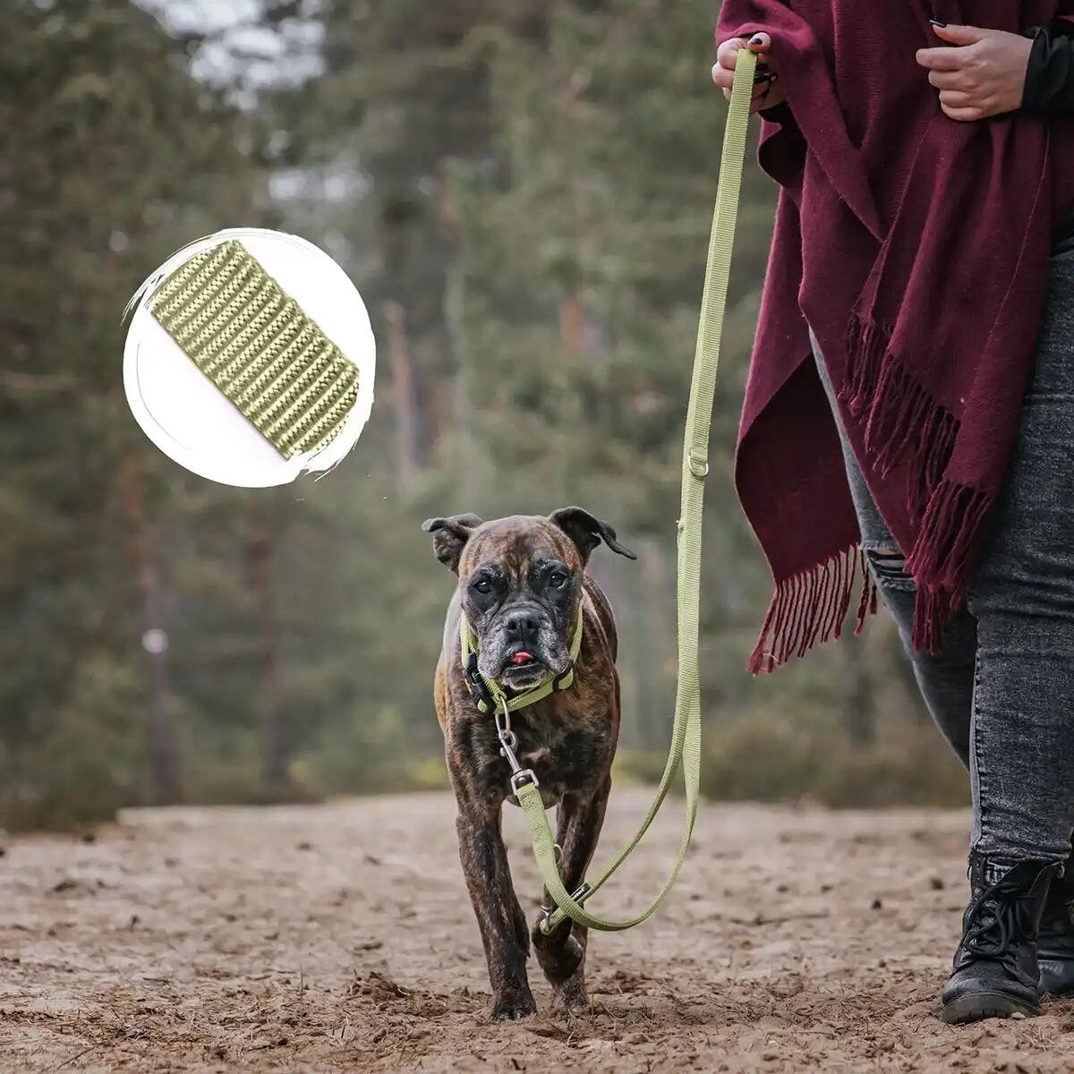 Hundeleine - Führleine Frida | Decathlon