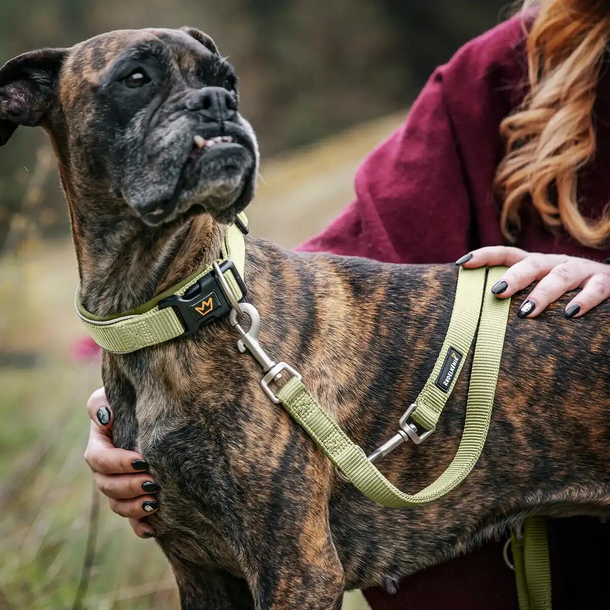 Hundeleine - Führleine Frida | Decathlon