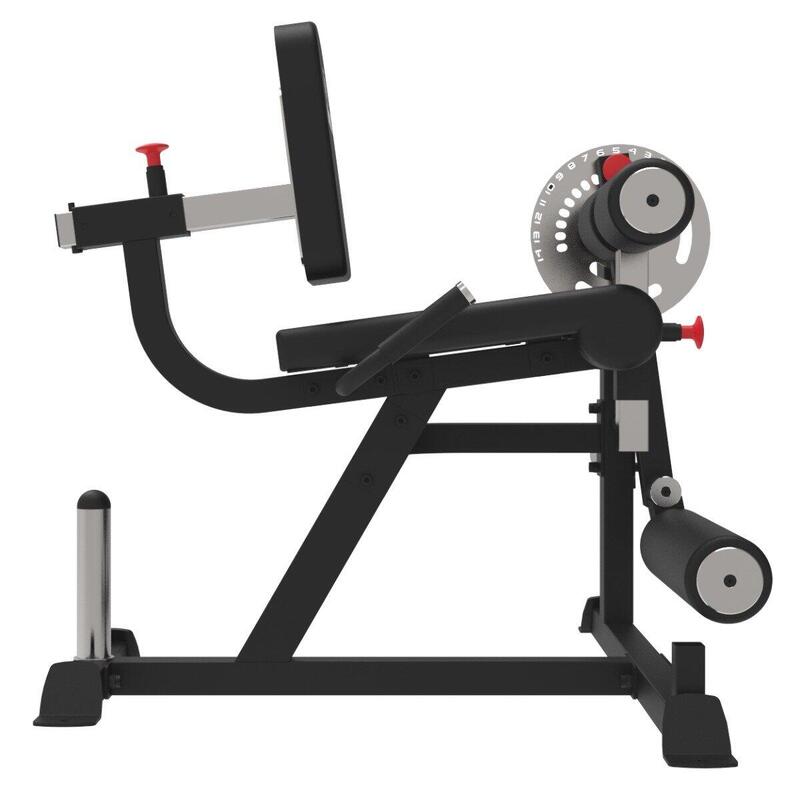 LXC Machine d'Extension des Quadriceps et de Flexion des TITANIUM ...