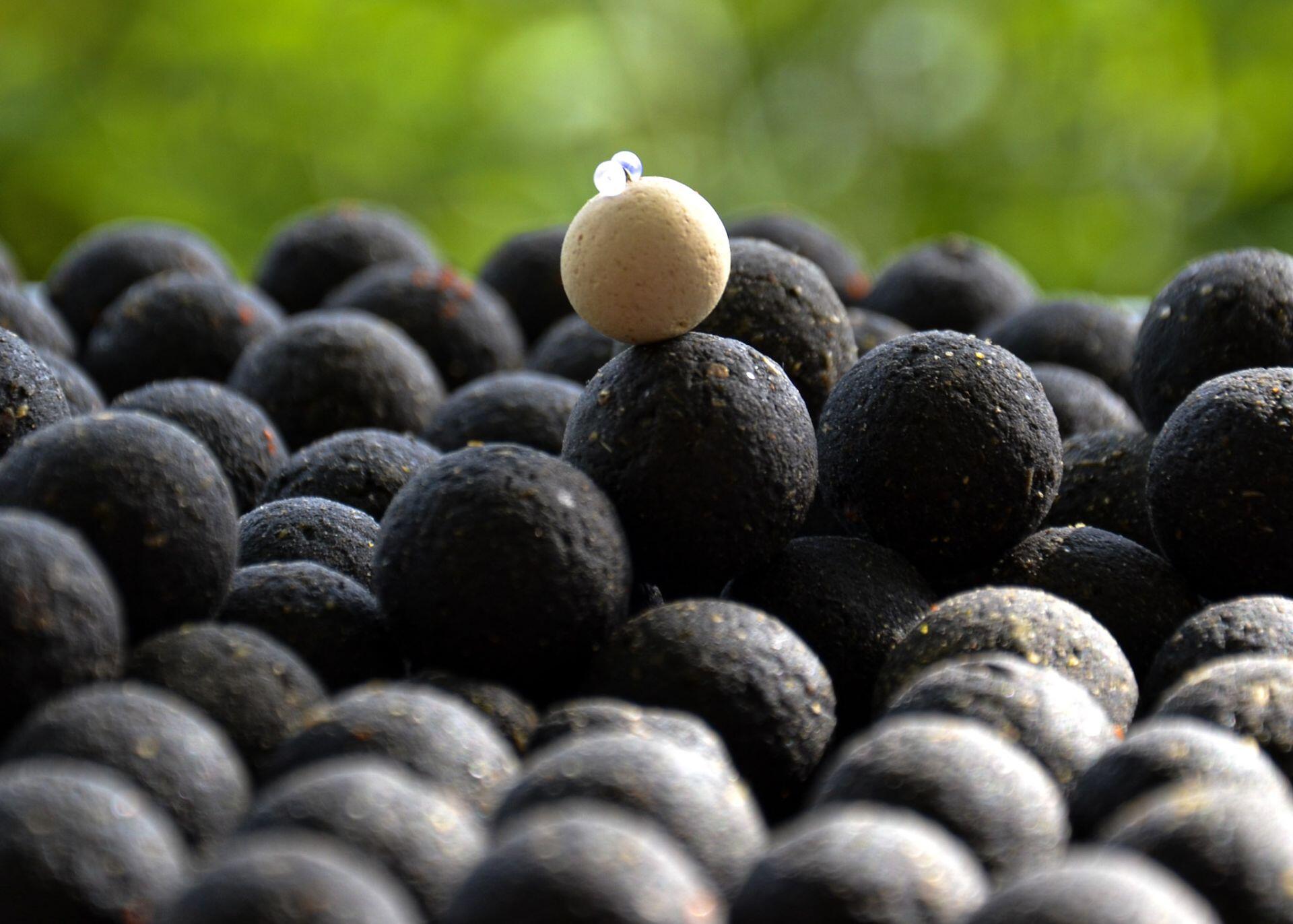 Bouillettes SuperFeed Pure Coconut & Vanilla 18mm 1kg TANDEM BAITS ...