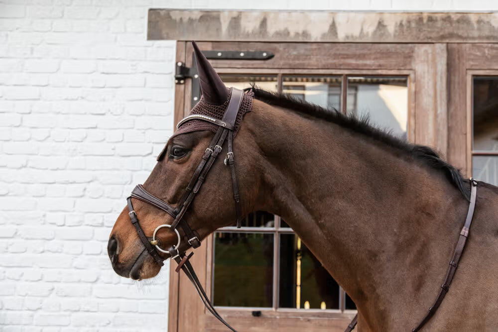 Bonnet anti-mouche Wellington soundless noir pony KENTUCKY HORSEWEAR ...