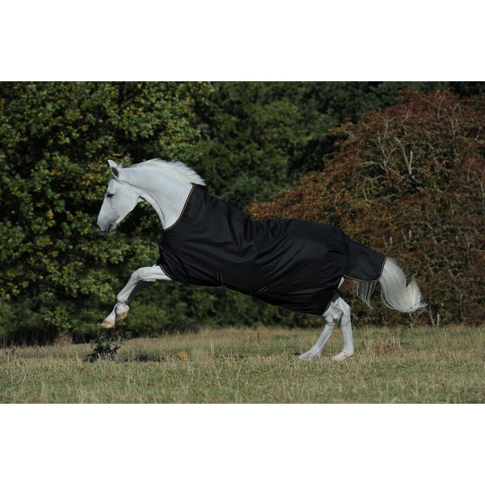 Couverture d'extérieur pour cheval Bucas Irish Turnout H/N 50g BUCAS ...