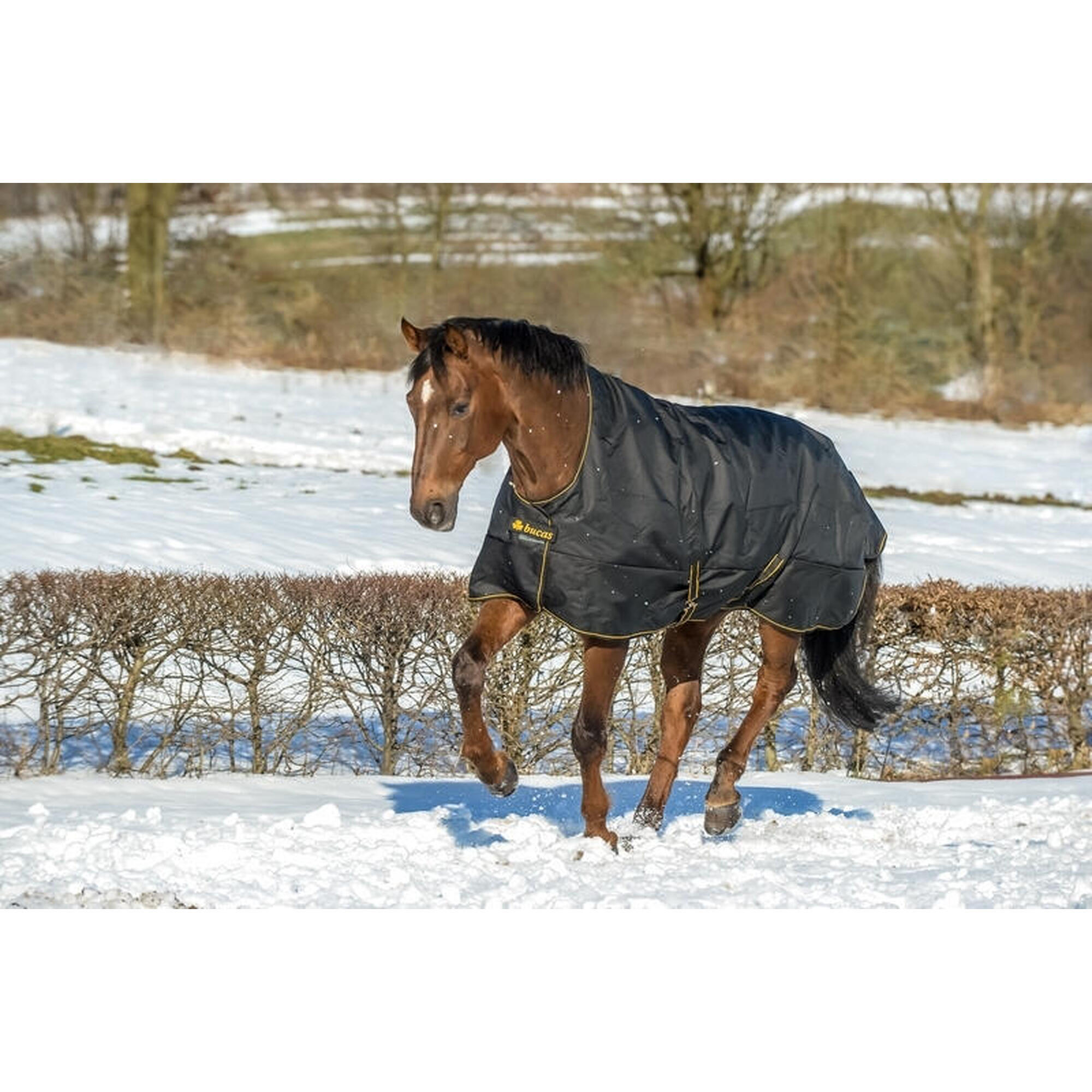 Couverture d'extérieur pour cheval Bucas Irish Turnout H/N 50g BUCAS ...