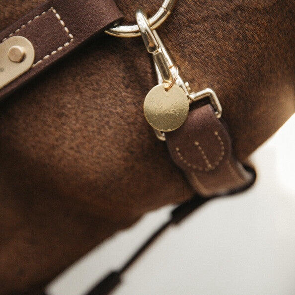 Kentucky Name Plate Goud - KENTUCKY HORSEWEAR - Decathlon