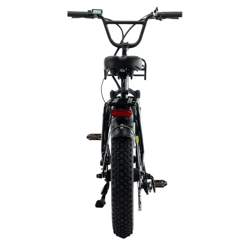 L20 Boost women's electric bicycle, 250 Watt motor power, top speed 25 ...