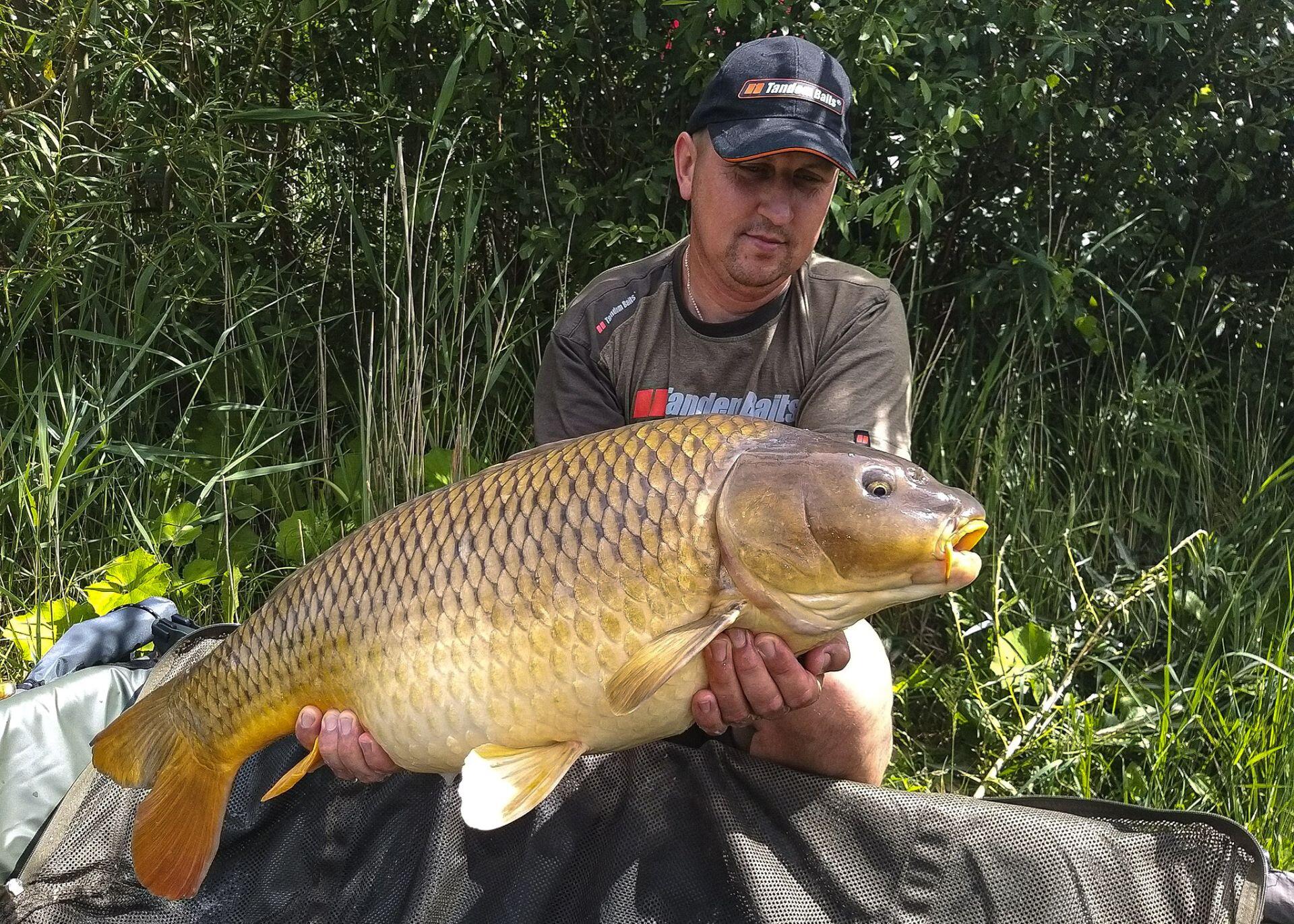 Boilies Innesco Carp Food Oil Fragola Eccellente 18mm 120g | Decathlon
