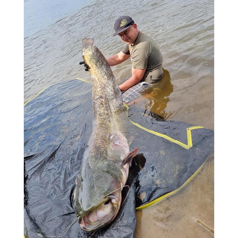 Materiał przyponowy sumowy Monster Cat hybrid leaders 20 m / 100 kg ...