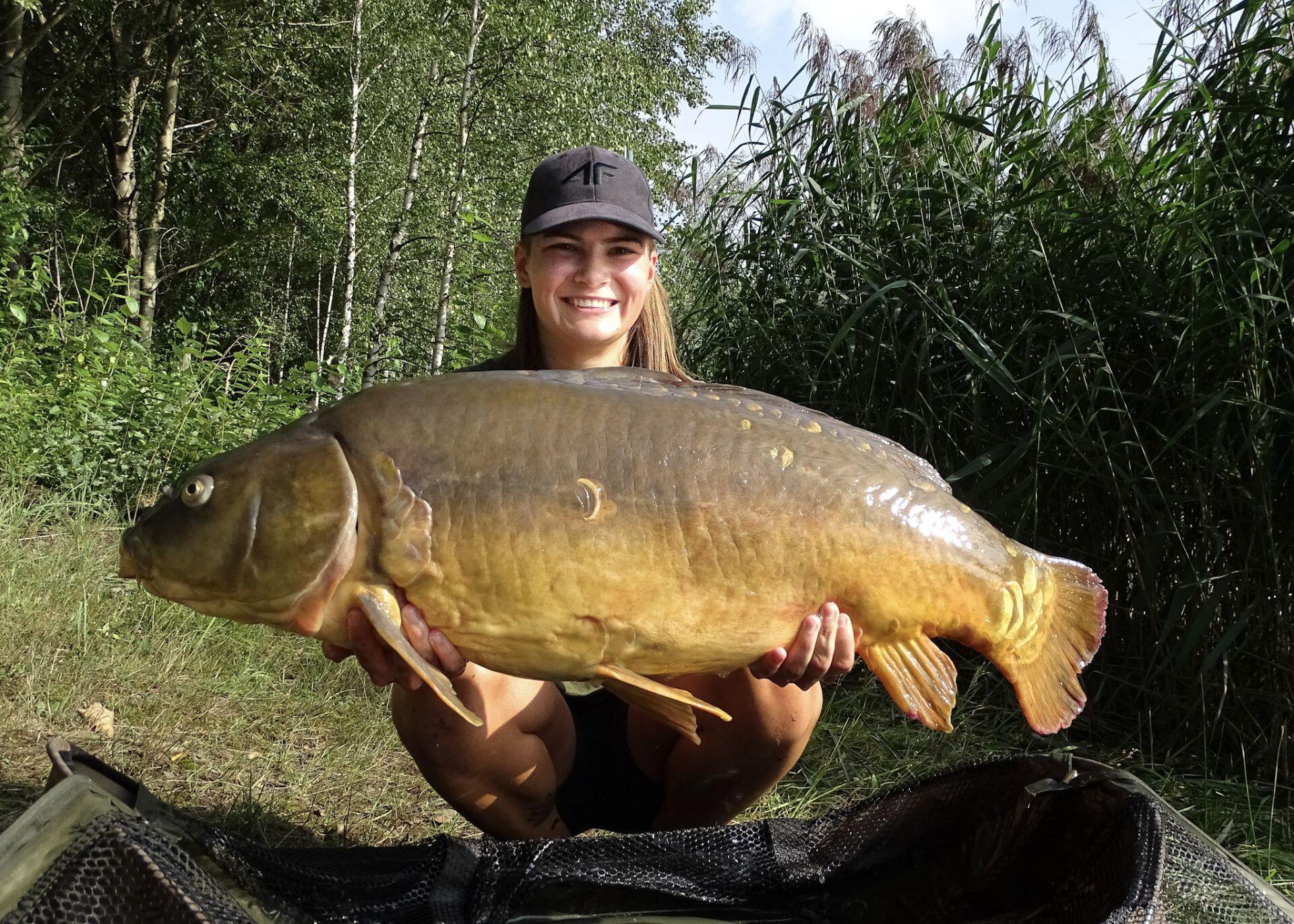 Boilies Innesco Carp Food Perfection Mix No. 2 Set da 3 18mm 120g ...