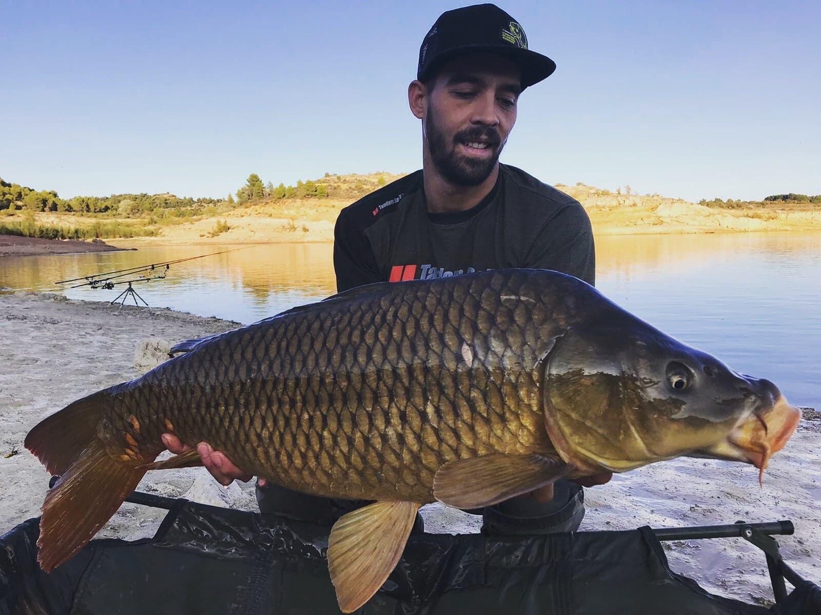 TB Pet Green Fish | Decathlon