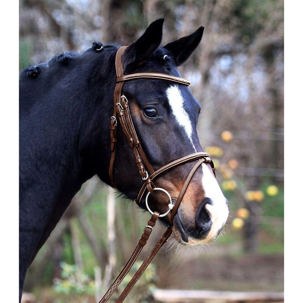 Combined riding bridle and noseband Waldhausen X-Line Santander ...