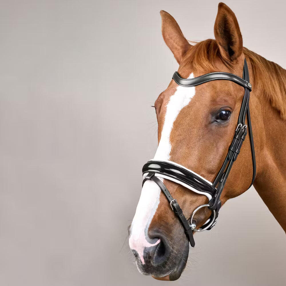Wide glossy combined noseband bridle with white lining Dy'on DY ON ...