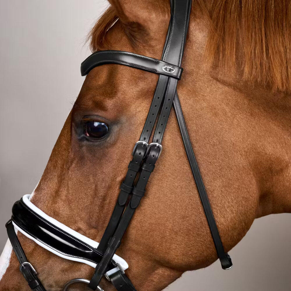 Wide glossy combined noseband bridle with white lining Dy'on DY ON ...